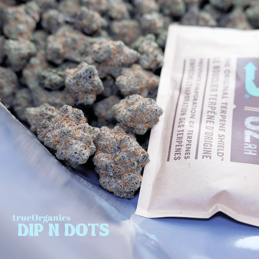 Buy Dip N Dots Strain Online | Best Creamy Flavor In 2025